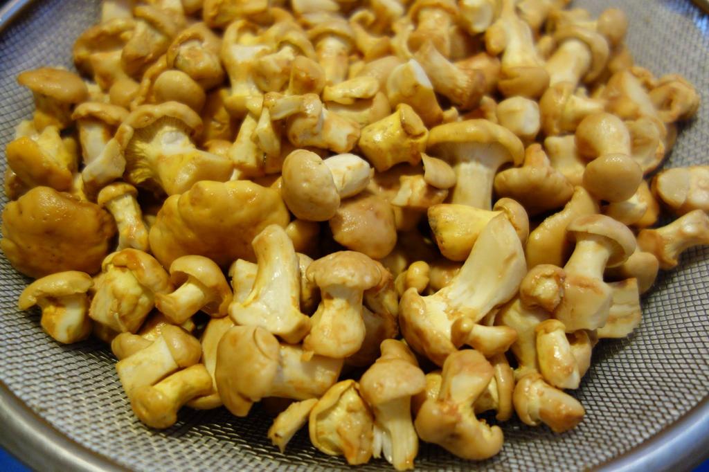 Salajul pur si simplu