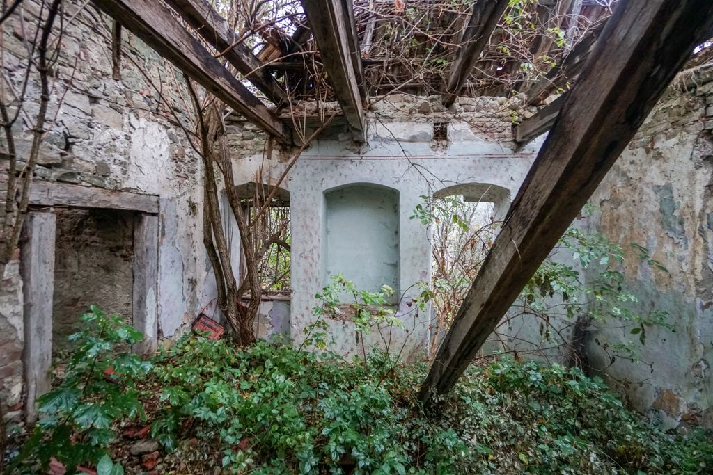 Salajul pur si simplu